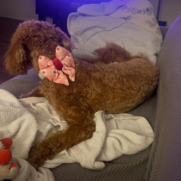 Luxe Blue Sapphire Velvet Key Fob Wristlet | Winter | Rose Gold, Gold ...