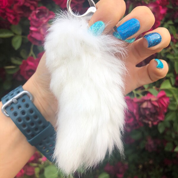 Taxidermy Rabbit Foot Necklace, Anthropomorphic Horns Gesture, Real ...