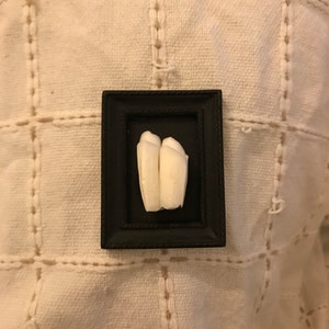 Real Mole Bone Displays. Bone Display. Mounted Mole Bones. - Etsy UK