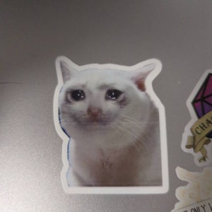 Crying Cat Sticker Pack Pack of 7 Meme Crying Cat Stickers - Etsy