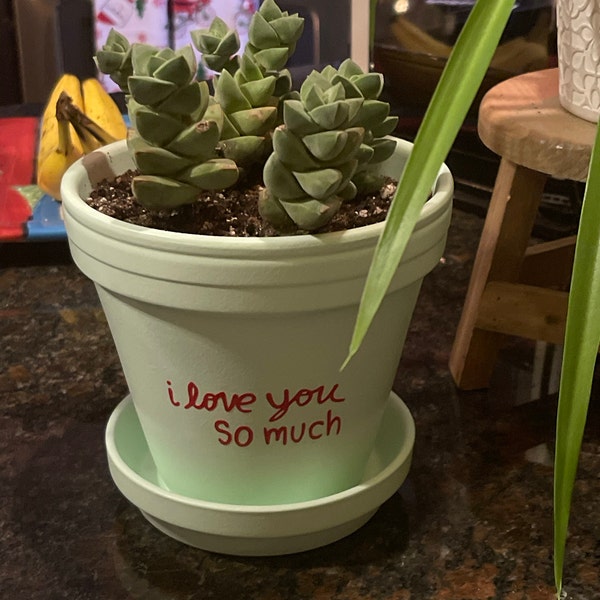 I Love a Dirty Hoe - Plant Pun - Plant Pun Pot - Punny Pot - Pot With ...