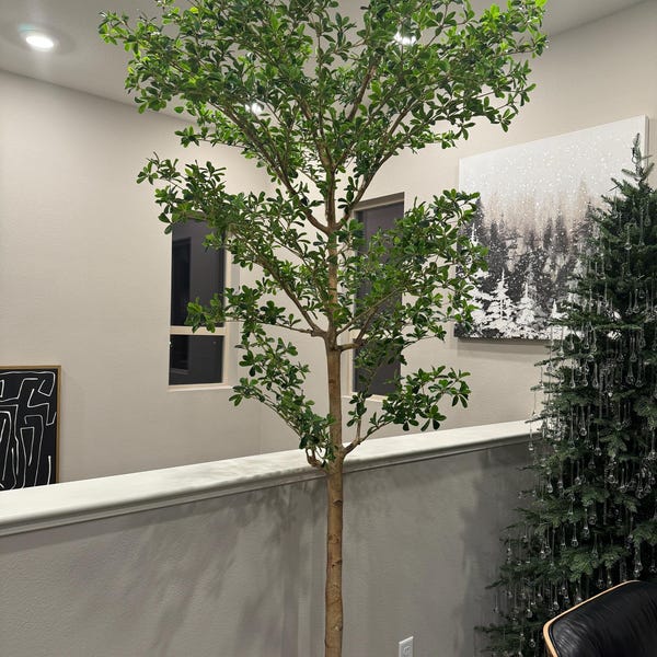 Faux Black Olive Tree, Shady Lady Tree, Black Olive Tree, Olive Tree - Etsy