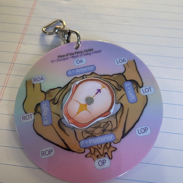 Labor and Delivery Triage Nurse Cheat Sheet Printable PDF | Triage ...