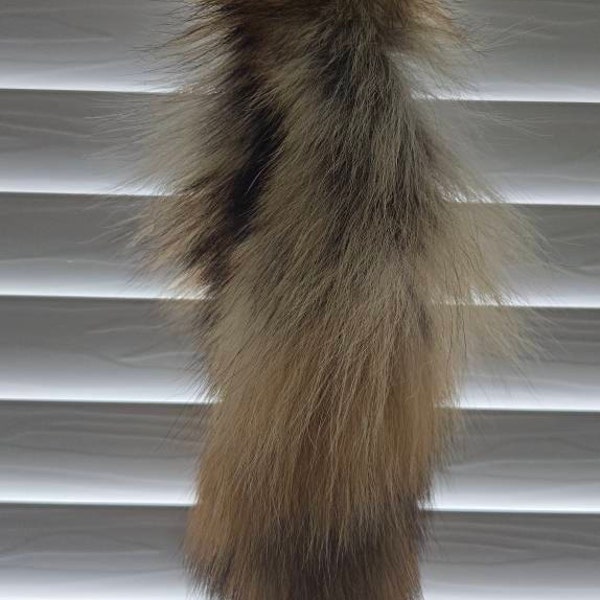 Double Raccoon Pelt Mantle, Cape on Black Leather Base - Etsy
