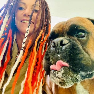 Wool Dreadlocks Dreads DE Extensions Lilac Pink Pastel White Braid Mix ...