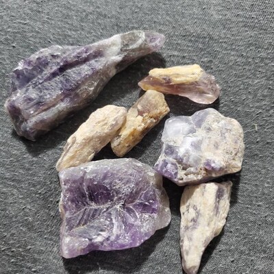 Darwin Evolution Fish Vinyl Decal Sticker DARWIN FISH Vinyl Decal Car ...