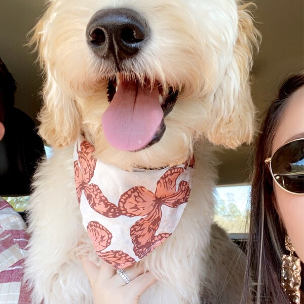 Daisy Garland Crochet Flower Bunner Kids Art Display Daisy Wall Decor ...