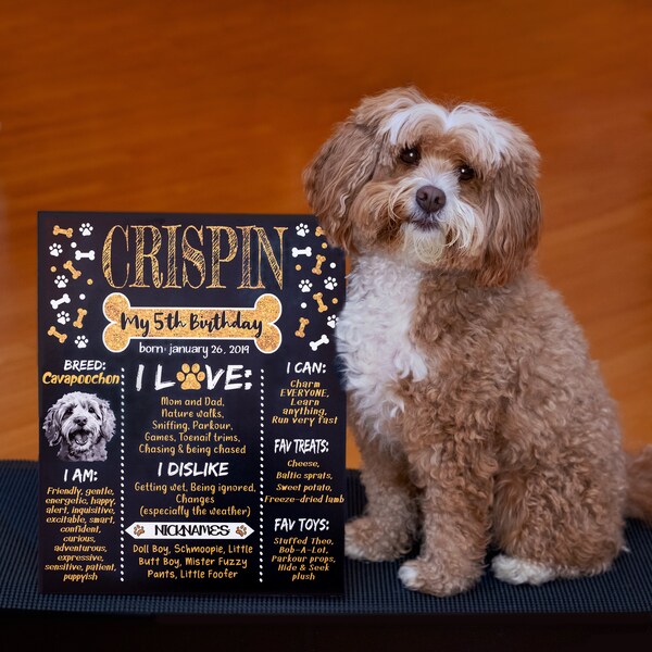EDITABLE Puppy Dog Birthday Chalkboard Poster. Dog Printable Milestone ...