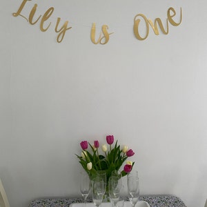 Gold Personalised Hen Party Banner, Hen Do Bunting, Hen Do Sign, Future ...