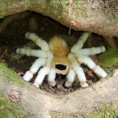 6 Jumping Spider Plush Posable Art Doll Animal Shelf Decor Insect Cute ...