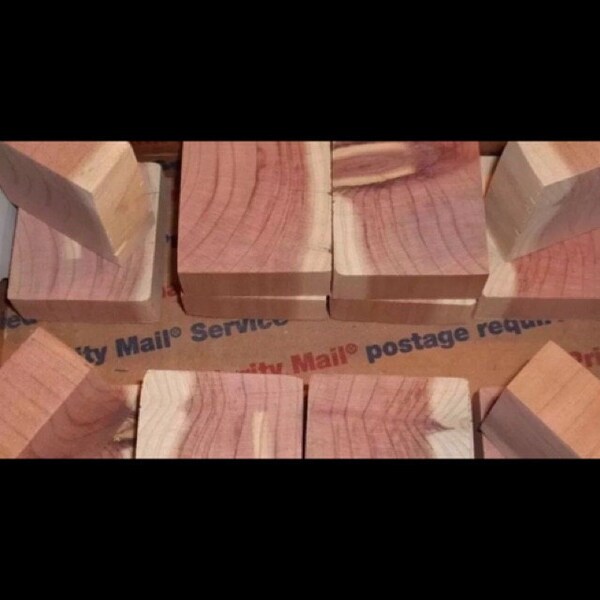 2 X 2X 3/4 Aromatic Red Cedar Wood Blocks Moth Ball Repellent (16) Free ...