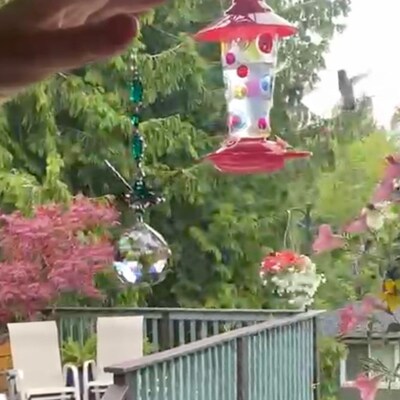 CRYSTAL DRAGON SUNCATCHER Wyvern Winged Pterosaur Crackle Quartz ...