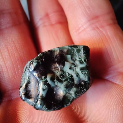 7g 3 Pc. Isle Royale Greenstone Specimen Rare Chlorastrolite Semi ...