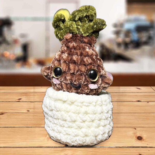 No Sew Cactus Pop-up Crochet Pattern Amigurumi Plant Pattern - Etsy