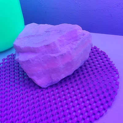 Rare Piece of Pacific Fission Worm Colony, False Brain Coral Rock ...