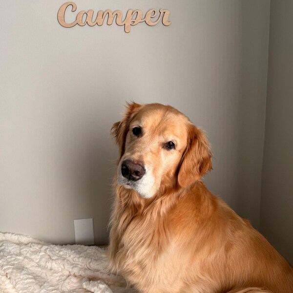 Growth Chart Board, Giraffe Growth Chart Engraved Wood Ruler, Boys Room ...