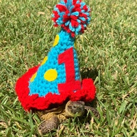 Birthday Hat Costume for Turtles/tortoises - Etsy