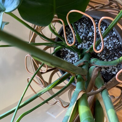 Monstera Shaped Plant Support Copper Coloured - Etsy
