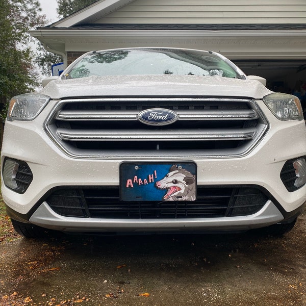 Funny Possum License Plate • Screaming Possum License Plate • Possum ...