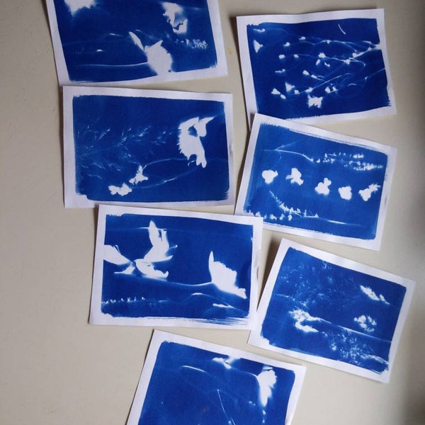 Cyanotype Kit: Easy to Use Sun Printing Kit by Daisy Bow Craft - Etsy