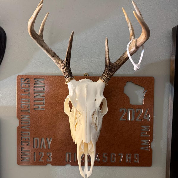 European Deer Mount Plaque - Personalized - Etsy