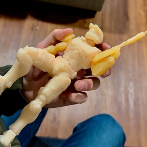 Raspberries Aesthetic Fruit Shirt, Comfort Colors Tshirt, Vintage ...