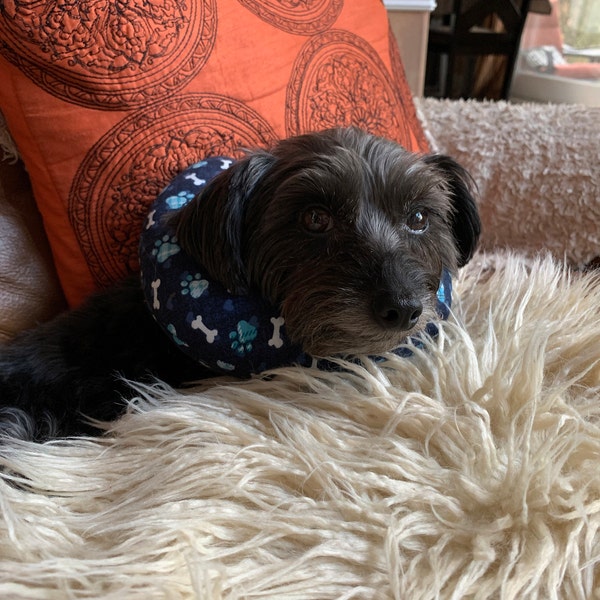 Blue Paw Prints Puppy Bumper® - Etsy