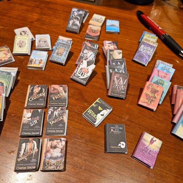 Custom Mini Books Bundle TBR Bookshelves Tiny Miniature Book Collection ...