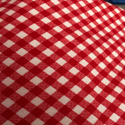 Farm Girl Vintage Red Gingham by Lori Holt for Riley Blake, 1/2 Yard ...