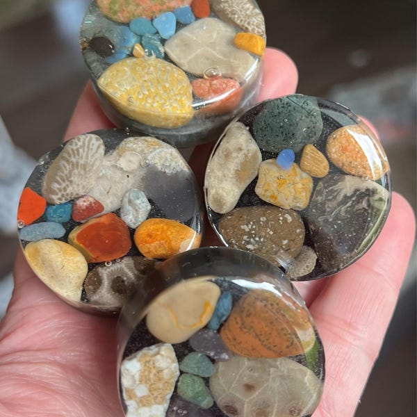 Michigan Stone Magnets| Lake MI Shoreline Petoskey Stone Magnet | Lake ...