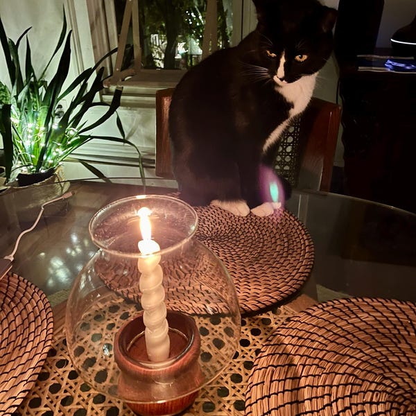 Vintage RCA Victor "his Master's Voice" Nipper Dog Gramaphone Latch ...