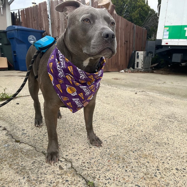 Concha Dog Squeaky Toy, Concha Toy, Mexican Sweet Bread Toy ...