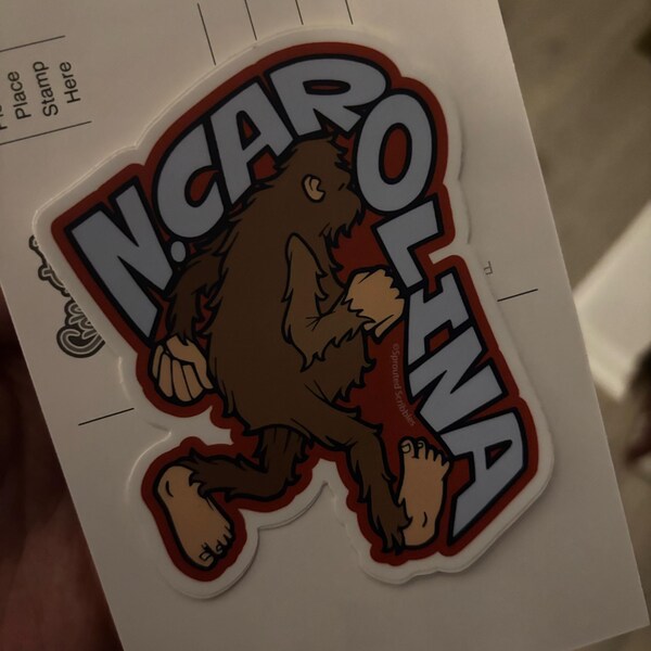 Boone Bear Sticker North Carolina - 4.5" Mountain Bear NC Illustrated ...