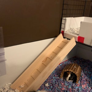 Rat Cage Tag Rat Cage Accessories Rat Name Tag Rat Cage | Etsy