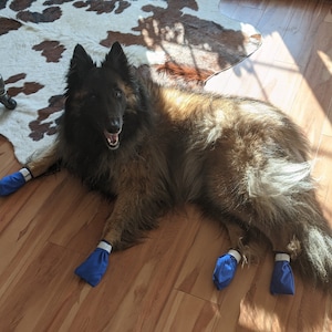 Finish Top Dog Booties set of 4 Sled Dog Snow Boots Iditarod - Etsy