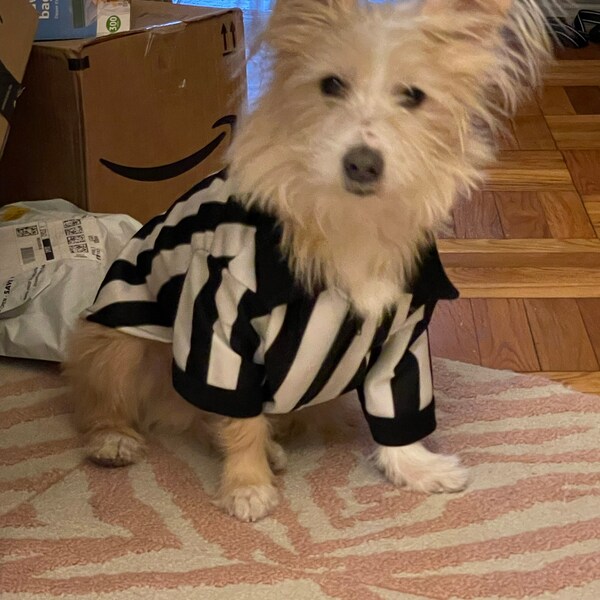 Referee Dog Shirt/costume for Small Dogs Great for Sporting Events ...