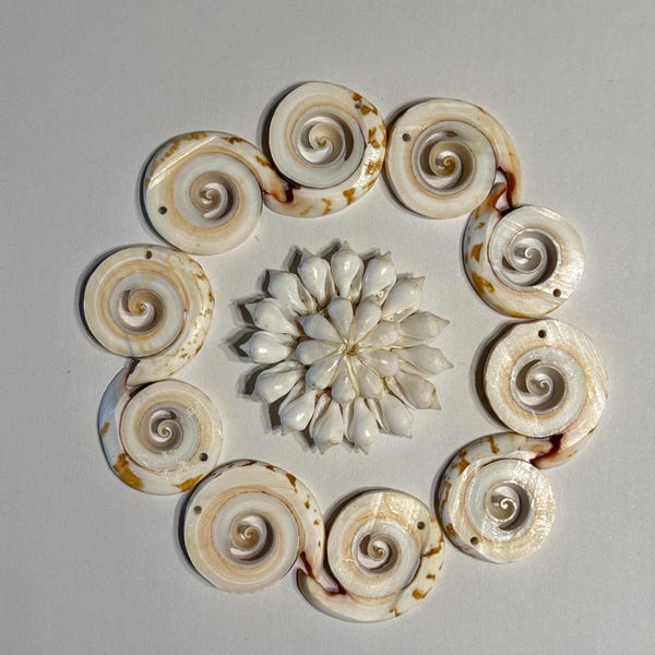 Hawaiian Puka Shells Vintage Natural Authentic - Etsy