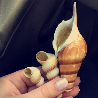 The Magic Conch Mini Size Caramel by Shellpipe free Pipe & Screens W ...