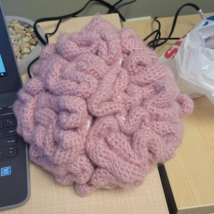 Crochet Pattern, Brain Beanie, Brain Hat, Crochet Brain, Science ...