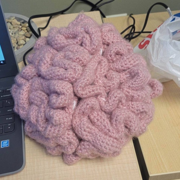 Crochet Pattern, Brain Beanie, Brain Hat, Crochet Brain, Science ...