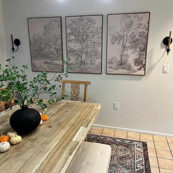 Framed Oak Tree Sketch Wall Art Set of 3, Botanical Pencil Drawing ...