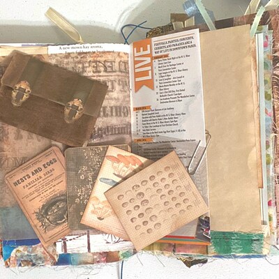 Field Notes and Field Record Cards Digital File Nature Sketch and ...