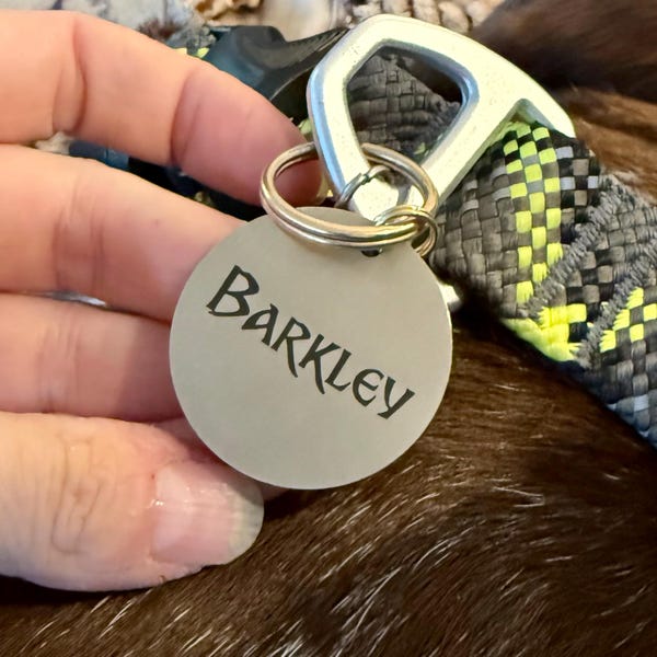 Egyptian Hieroglyphics Pharoah Dog Tag, Egypt Keyring Keychain ...