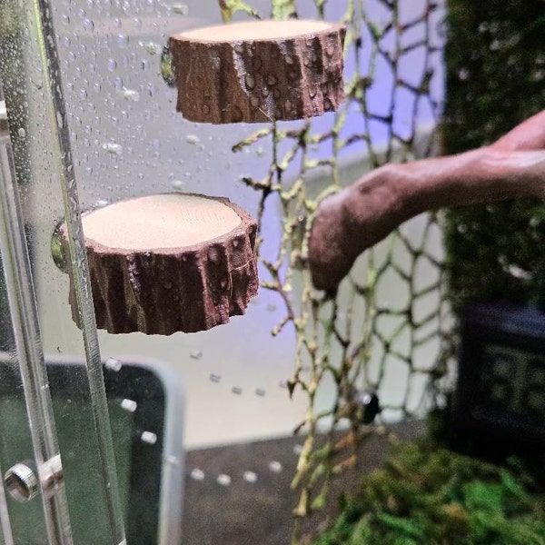 3D Printed Magnetic Spider Platforms Set of 3, Terrarium Platforms - Etsy