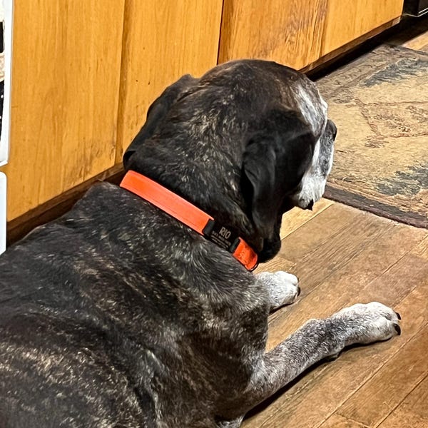 Stanley Name Plate, Personalized Stanley Tumbler Name Plates, Stanley ...