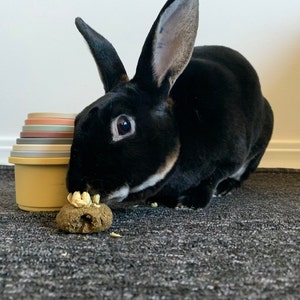 Bunny O's Cereal Treat Rabbit Fruit Loops Inspired Treat - Etsy