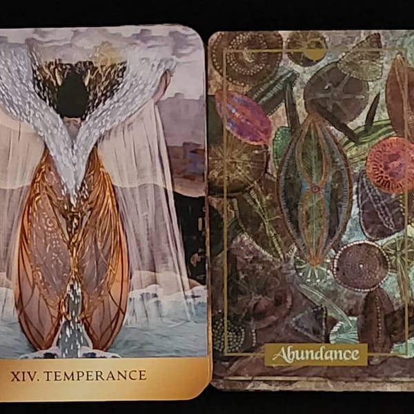 Illuminated Earth Oracle Card Deck, Oracle Deck, Oracle Cards, Tarot ...