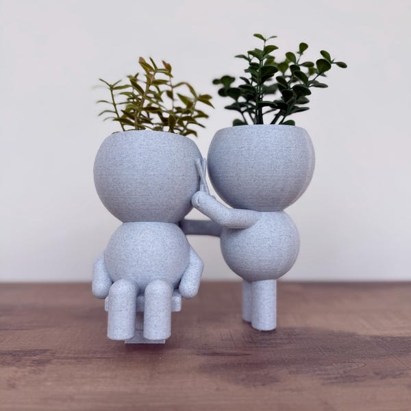 Wee Jimmy Dino Rider Dinosaur Brachiosaurus Diplodocus Succulent Plant ...