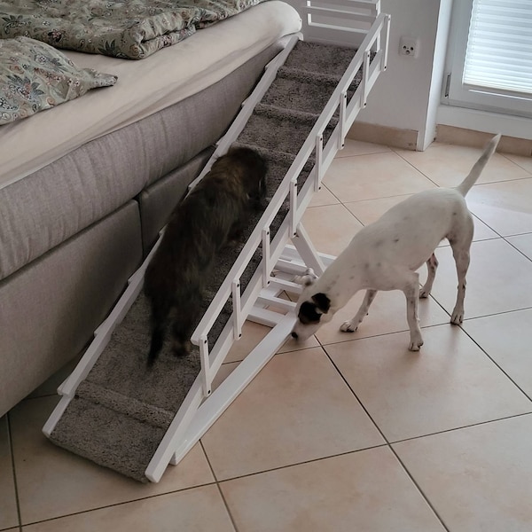Pet Ramp With Foldable Rails 4 Height Levels Adjustable Steps - Etsy
