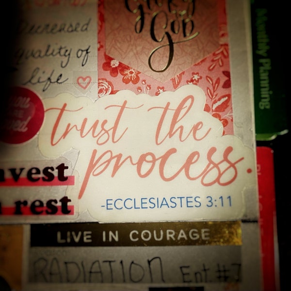Trust the Process Sticker, Bible Verse Sticker, Christian Sticker ...